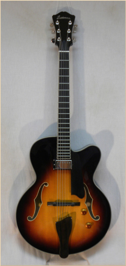 Steilberg String Instruments - Eastman AR503ce-SB w/ HSC